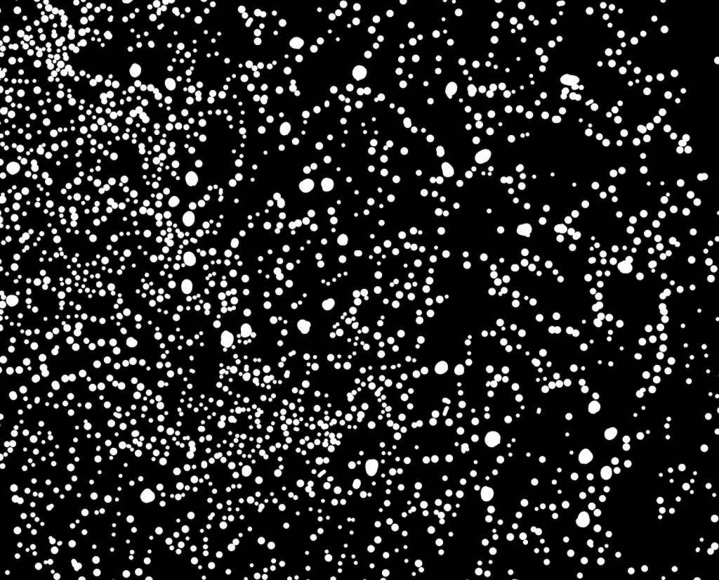 understanding_the_nature_of_the_universe_one_dot_at_a_time_1 – Selwyn & Ink